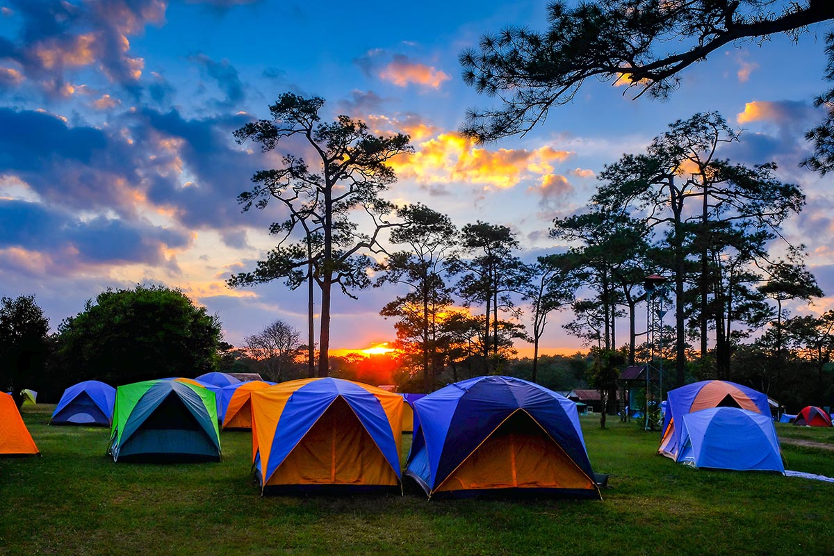 Hammock vs Tent Advice: Which Camping Style is best?