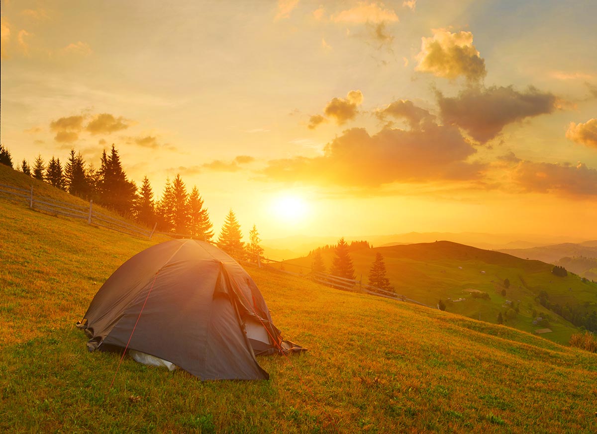 Hammock vs Tent Advice: Which Camping Style is best?